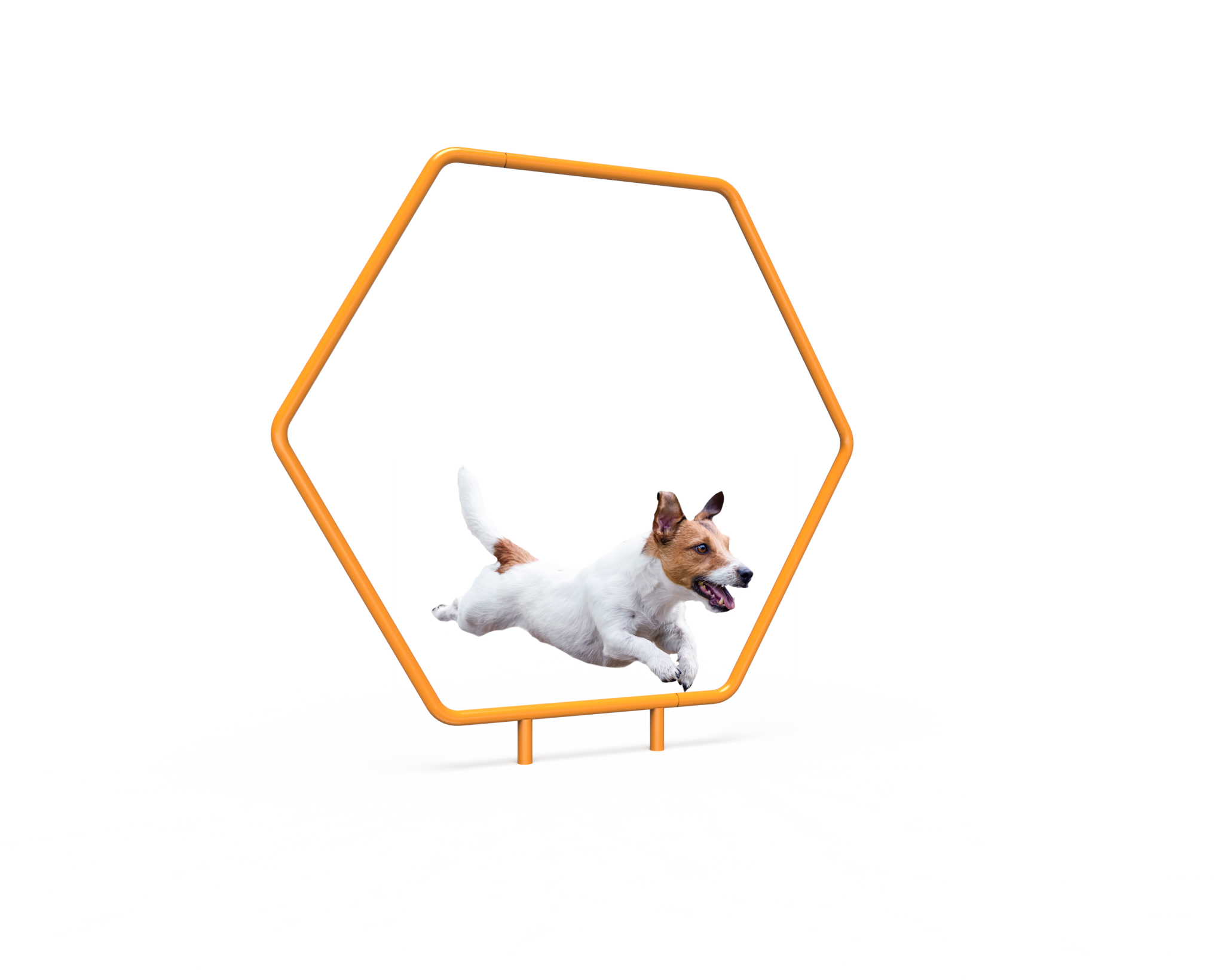 Dog Single Hoop | LTC