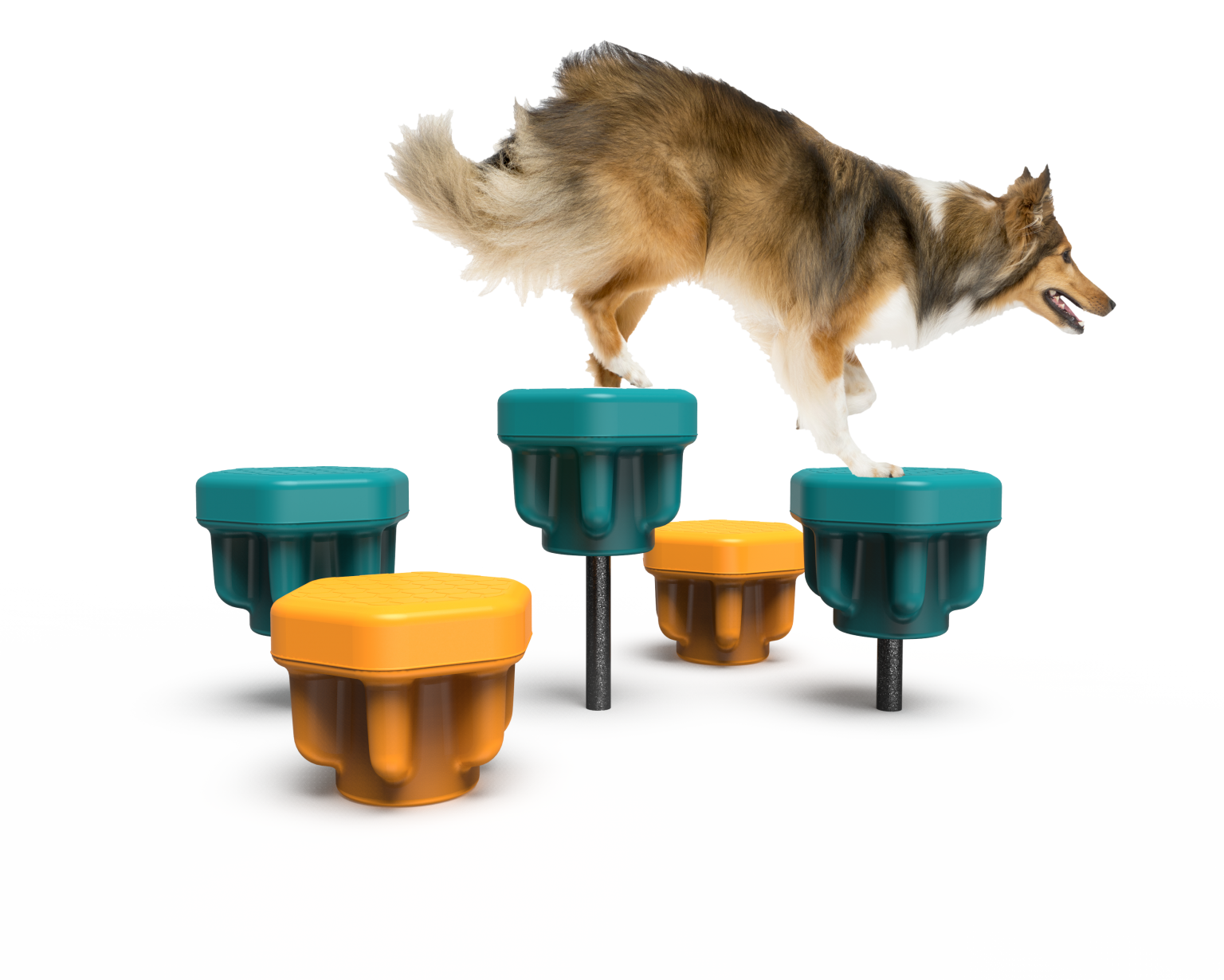 Dog Steppers | LTC