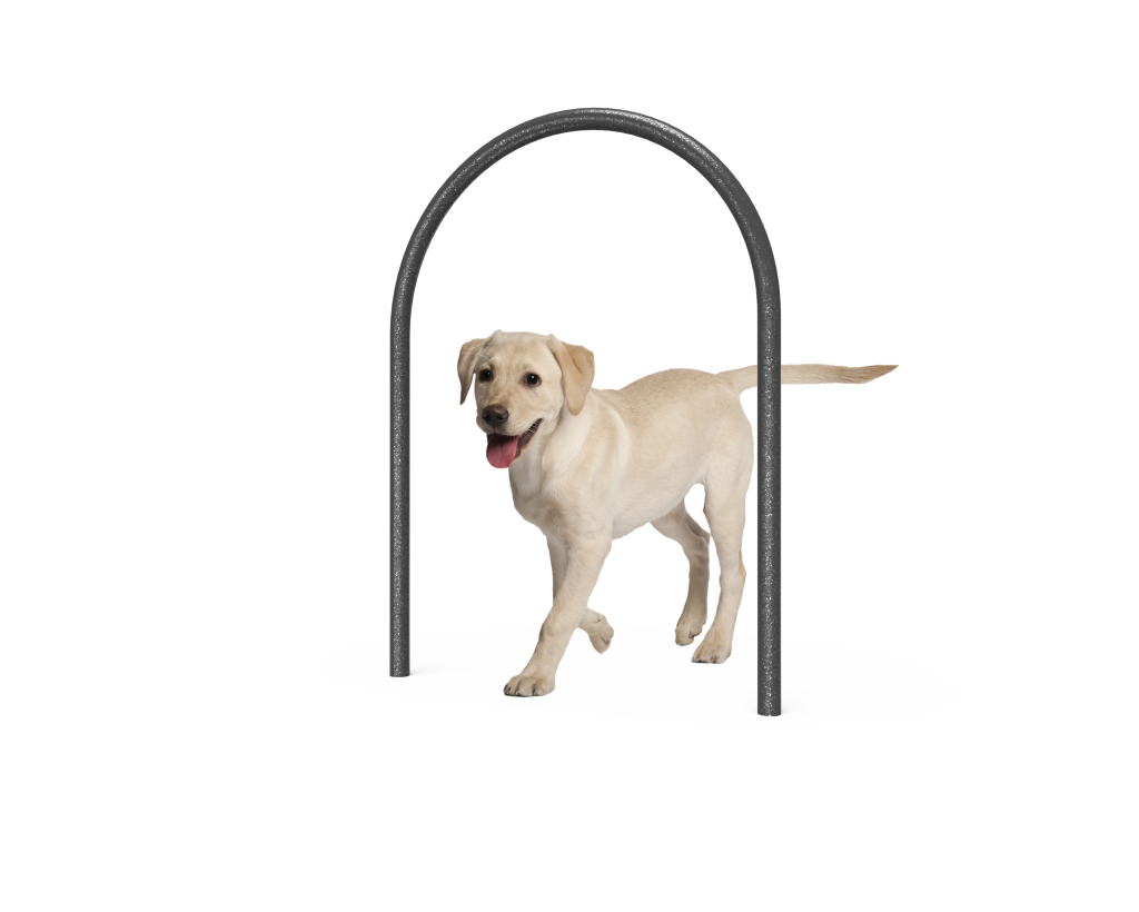 Dog Small Loop | LTC